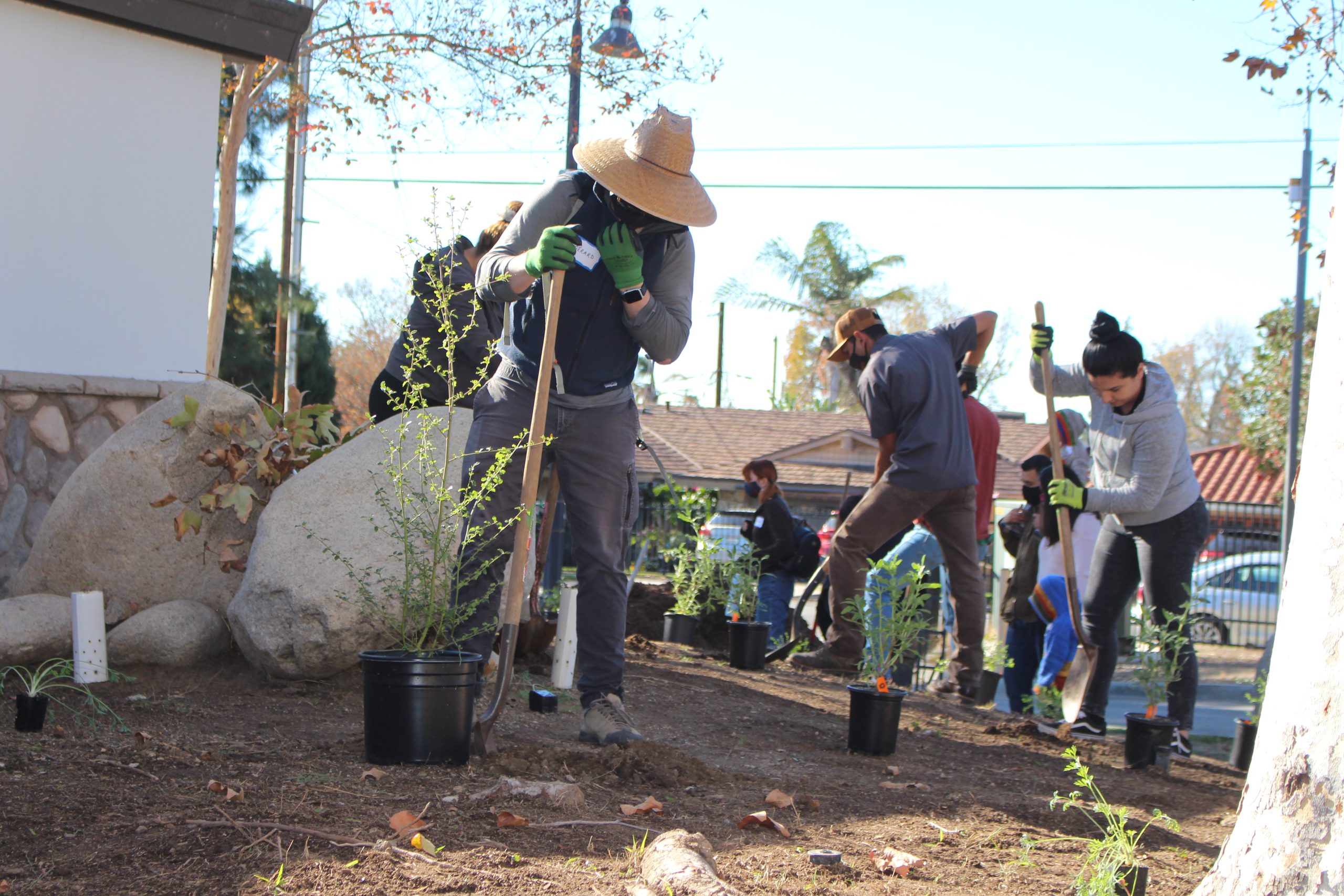 Tataviam Tribe, Tree People replant Rudy Ortega Sr. Park in San Fernando