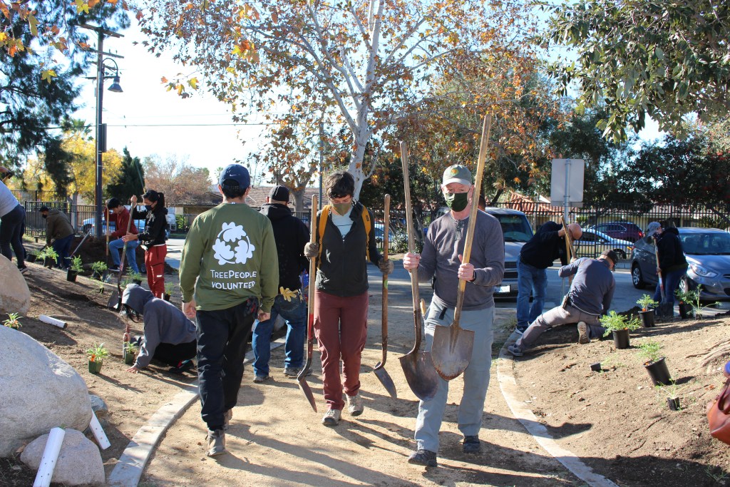 Tataviam Tribe, Tree People replant Rudy Ortega Sr. Park in San Fernando