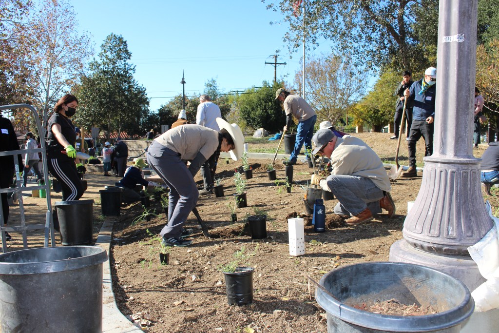 Tataviam Tribe, Tree People replant Rudy Ortega Sr. Park in San Fernando