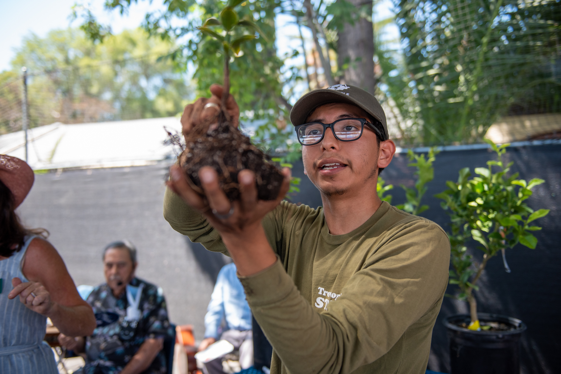 Residents Told Trees are Essential to Maintain Health