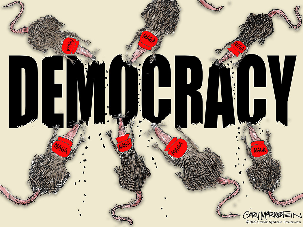 Democracy is Fragile - The San Fernando Valley Sun