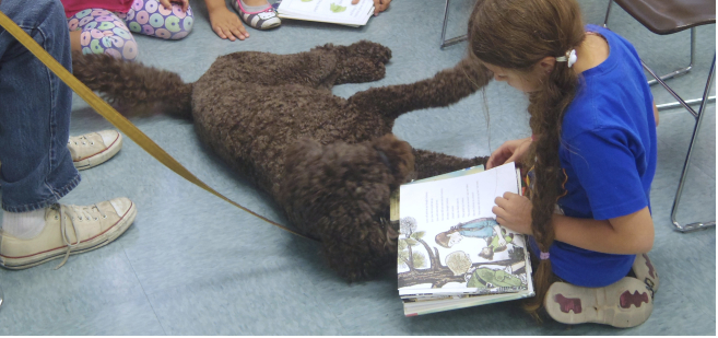 BARK! Beach Animals Reading to Kids - The San Fernando Valley Sun
