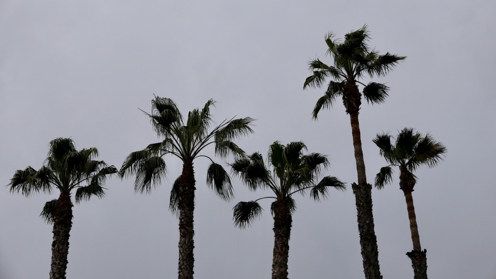 CSUN Professor Explains Why ‘June Gloom’ Was DifferentThis Year - The ...