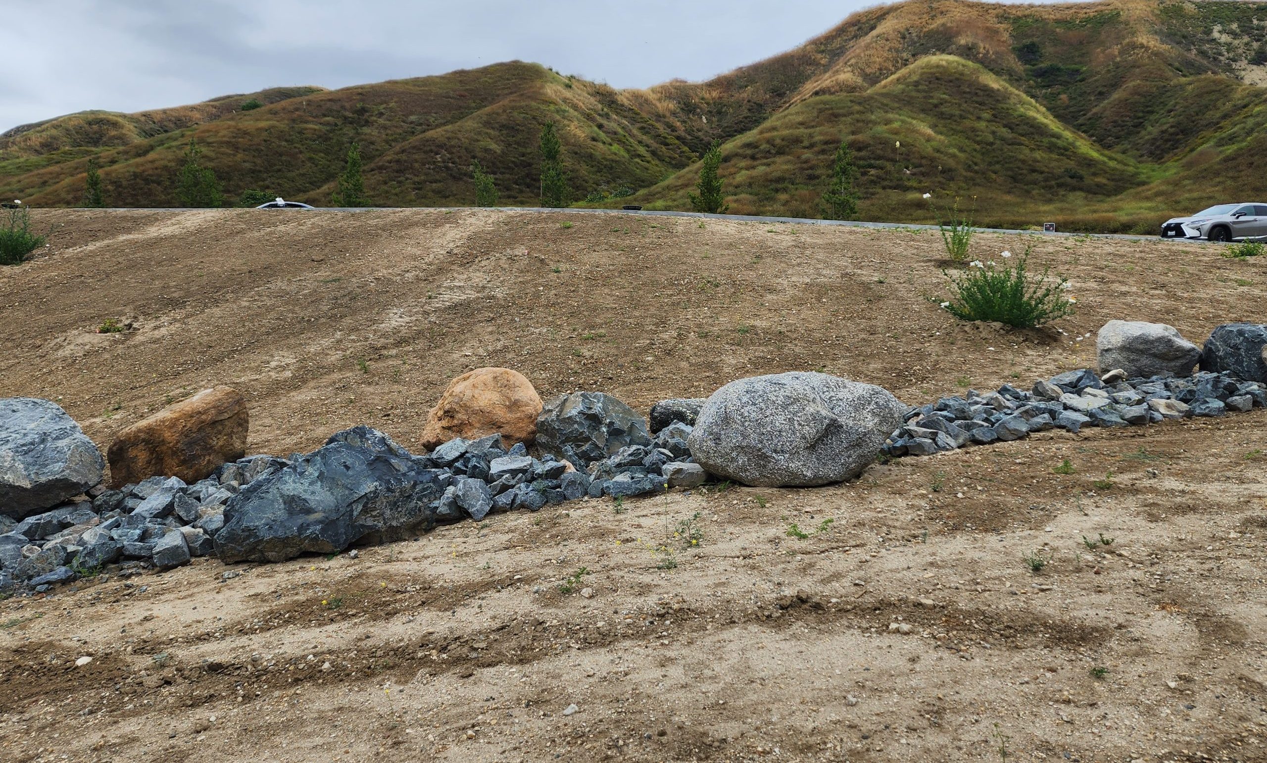 Miembros de la Comunidad Disfrutan del Nuevo Sendero Ecológico de Lopez ...