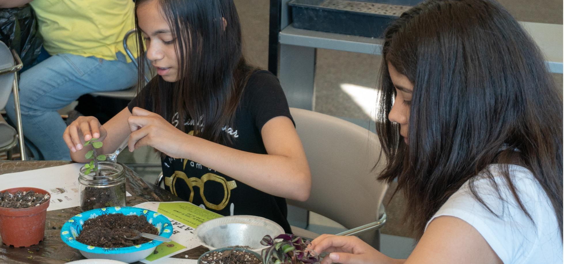 Tiny Terrariums: Earth Day Craft for Tweens and Teens - The San ...