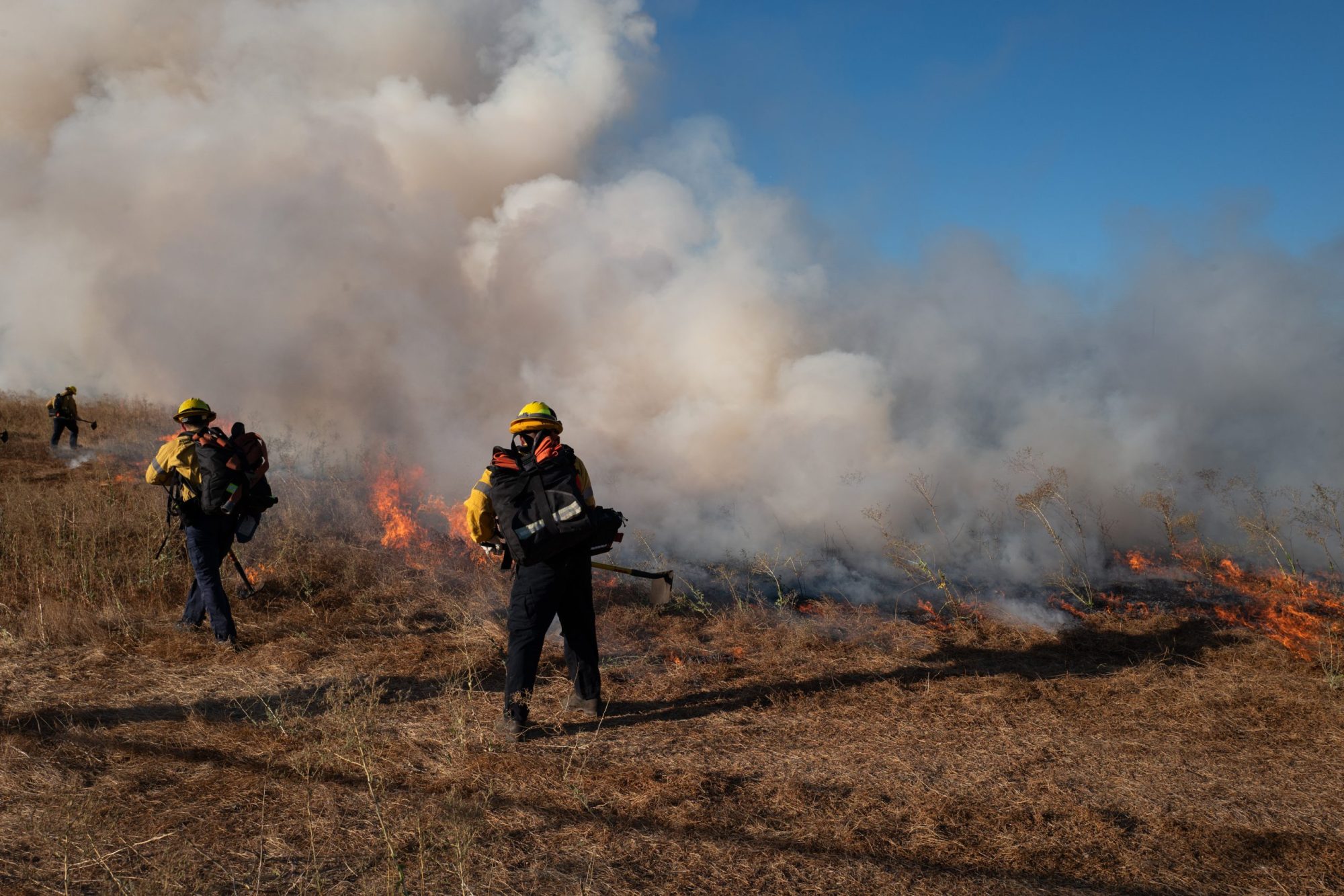 Brush Fire at Sheldon Arleta Park - The San Fernando Valley Sun
