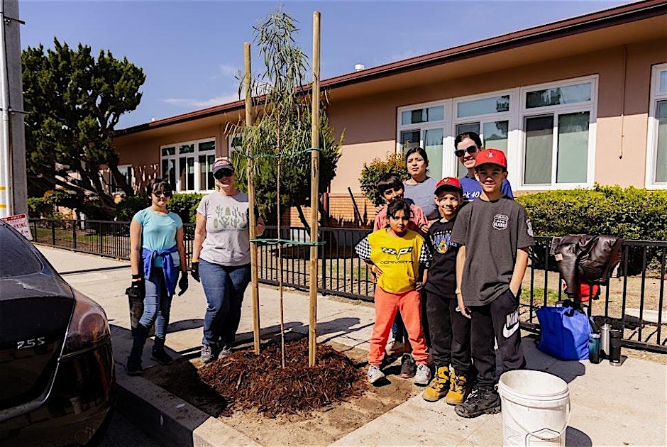 Latino Heritage Month Tree Planting & Tree Adoption - The San Fernando ...