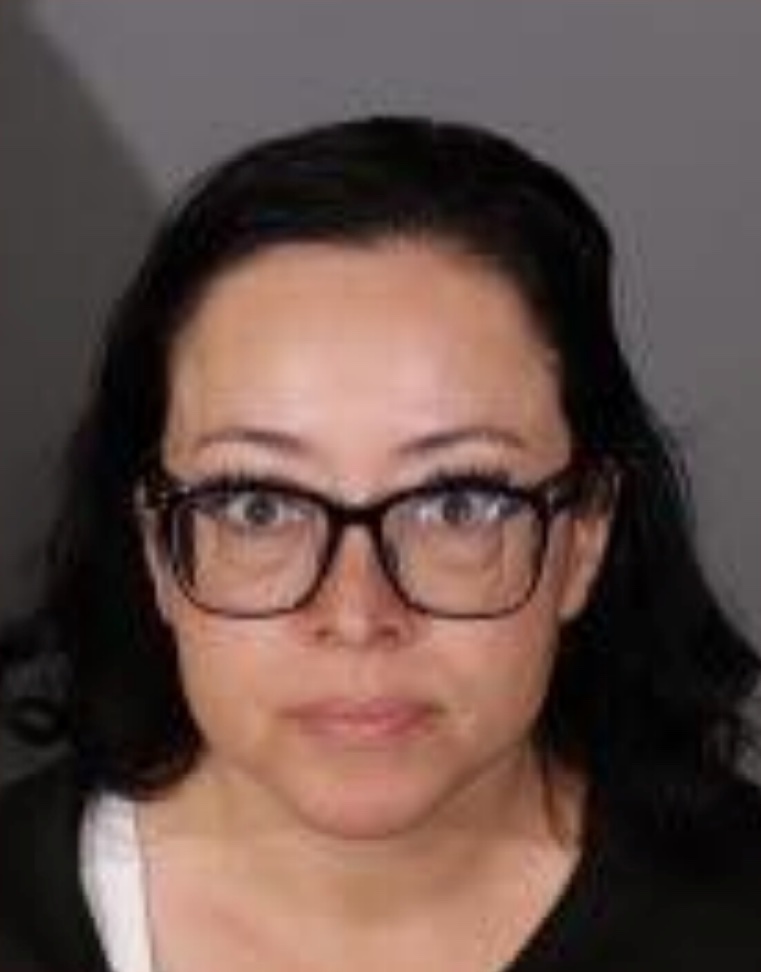 Female Teacher Suspected of Child Molestation Arrested - The San ...