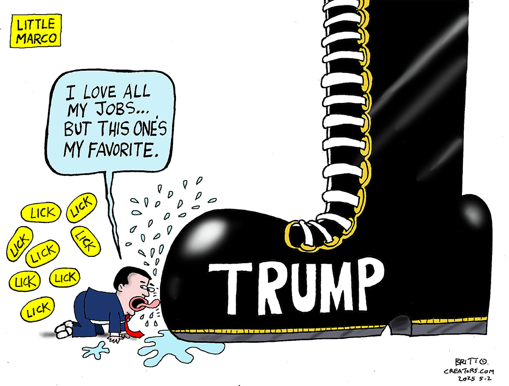 Little Marco - The San Fernando Valley Sun